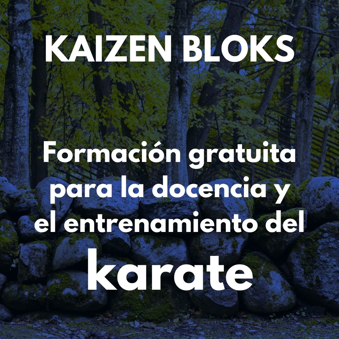 Kaizen Blocks - Sensei Kaizen